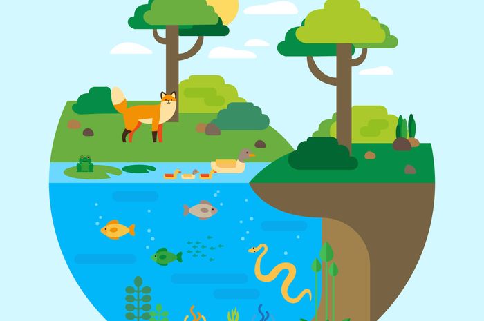 Mengenal Pengertian Produsen, Konsumen, dan Pengurai Serta Contohnya - Bobo