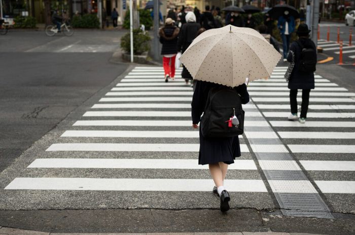 Kenapa Zebra Cross Berwarna Hitam Putih? Ini Penjelasan dan Fungsinya ...