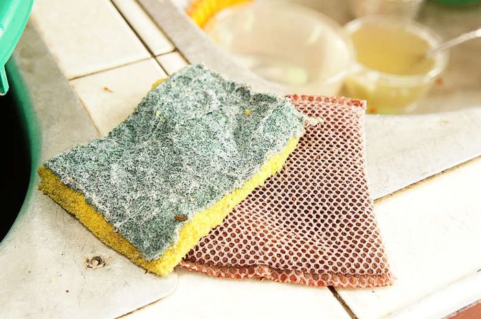 Jangan Tunggu Rusak, Spons Cuci Piring Harus Segera Diganti yang Baru ...