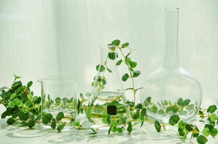 12 Prinsip Kimia Hijau yang Mendukung Pelestarian Lingkungan, IPA Kelas ...