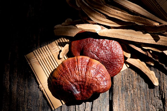 Menyantap Lingzhi: Hidup Abadi dengan Jamur Ajaib Mitologi Tiongkok ...