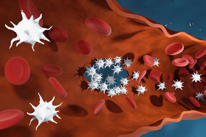 Materi Biologi Kelas 11: Mengenal Fungsi-Fungsi Sitosol - Kids