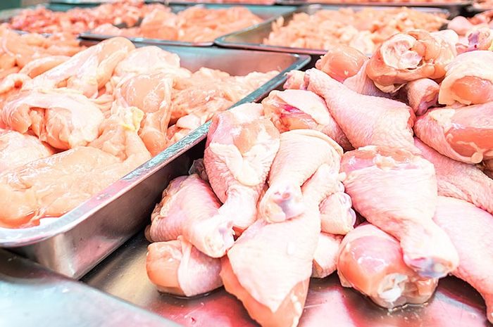 Awas, Jangan Sampai Keliru, Begini Cara Membedakan Ayam Segar dan Ayam ...
