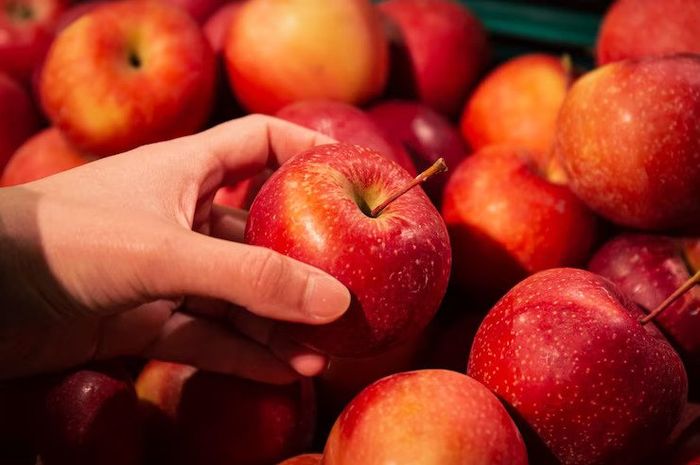 15 Fakta Ilmiah Apel, Buah Segar yang Kaya Kandungan Flavonoid - Kids