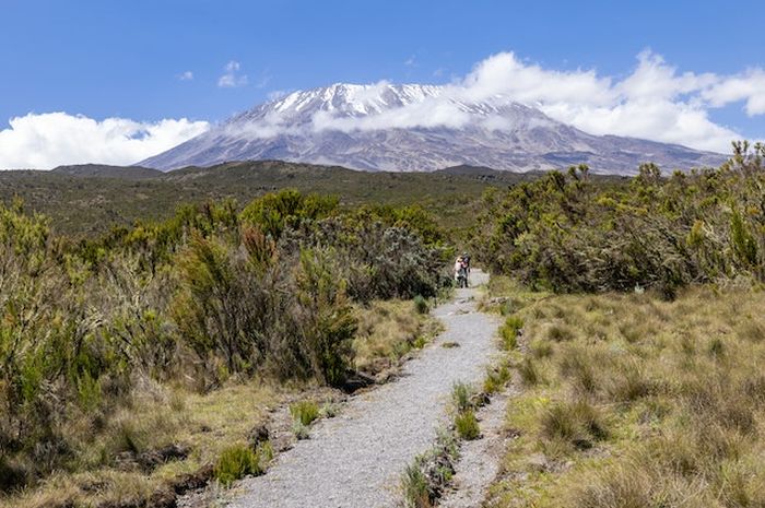 13 Fakta Menarik Gunung Kilimanjaro, Gunung Beku Aktif Terbesar di Dunia - Kids