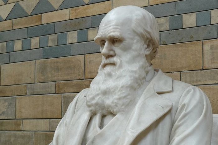 Mengenal Sosok Thomas Alva Edison, Penemu Lampu Pijar - Kids Mengenal Sosok Thomas Alva Edison, Penemu Lampu Pijar - Kids