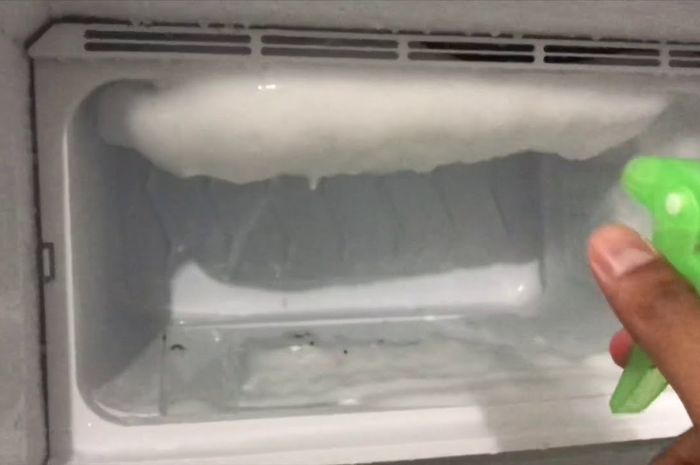 5 Kebiasaan ini Bikin Bunga Es Gampang Muncul di Kulkas, Cepat Mencair ...