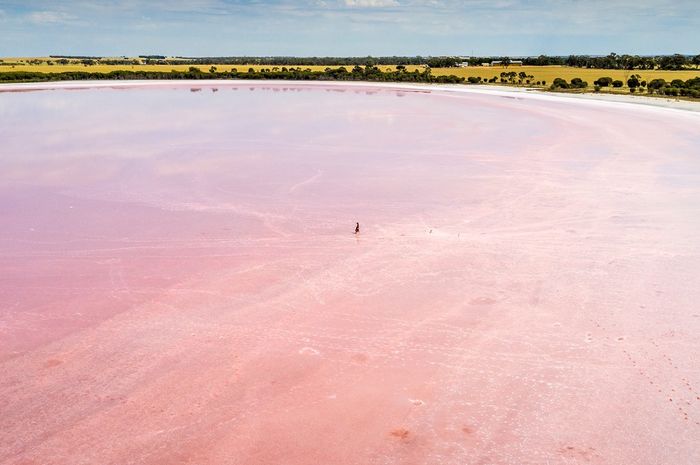 Terlihat Unik, Apa Penyebab Terjadinya Fenomena Alam Danau Pink? - Bobo