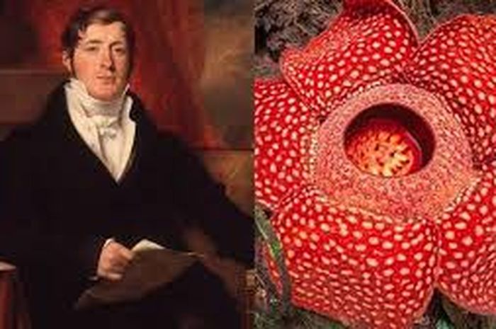 Sosok Thomas Stamford Raffles, Penjajah Inggris yang Jatuh Cinta dengan ...