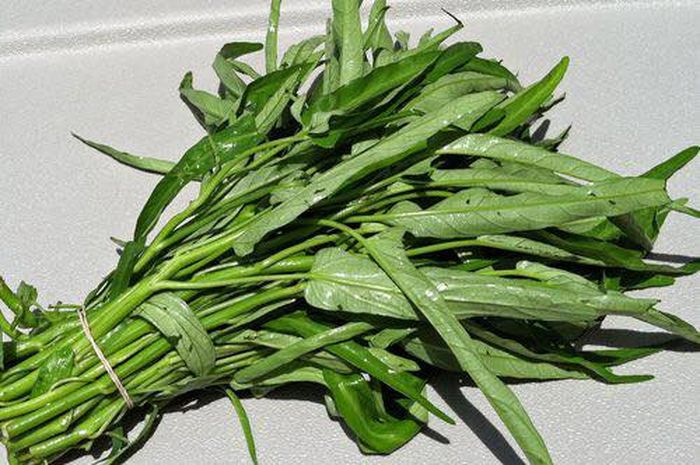 Tahan Sampai 1 Minggu, Ini 3 Cara Menyimpan Kangkung Agar Tidak Cepat ... Tahan Sampai 1 Minggu, Ini 3 Cara Menyimpan Kangkung Agar Tidak Cepat ...