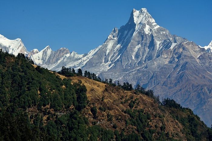 Perubahan Iklim Membuat Gletser di Pegunungan Himalaya Mencair Lebih ... Perubahan Iklim Membuat Gletser di Pegunungan Himalaya Mencair Lebih ...
