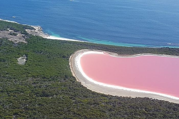13 Fakta Menarik Danau Hillier, Danau Merah Muda yang Memiliki Kadar ...