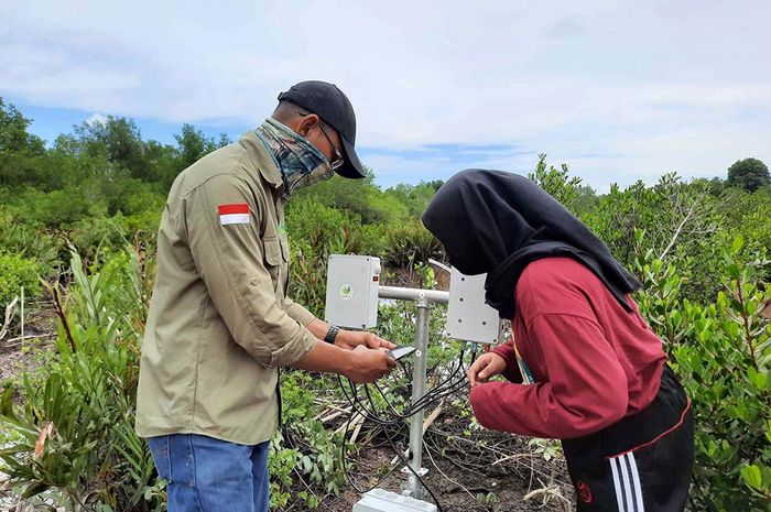 Mengenal Jejakin, Platform untuk Mewujudkan Lingkungan Berkelanjutan ...