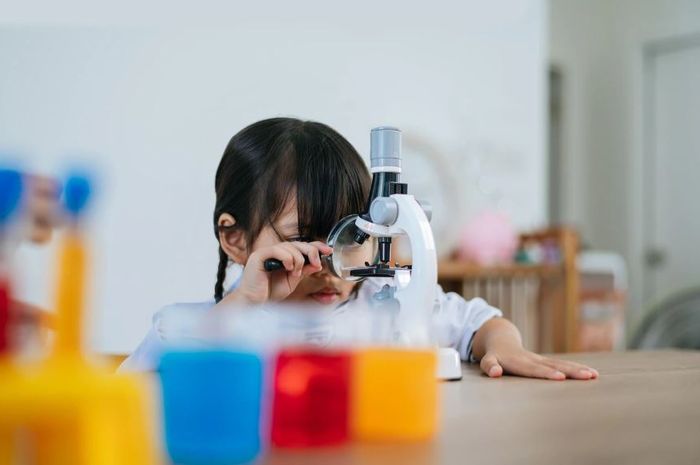 Materi IPA Kelas VIII SMP: Pengertian, Contoh dan Fungsi Uniseluler ...