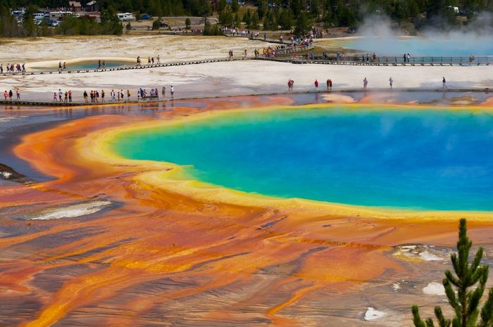 Gunung Yellowstone Punya Lubang Magma yang Aneh, Kenapa Begitu? - Bobo