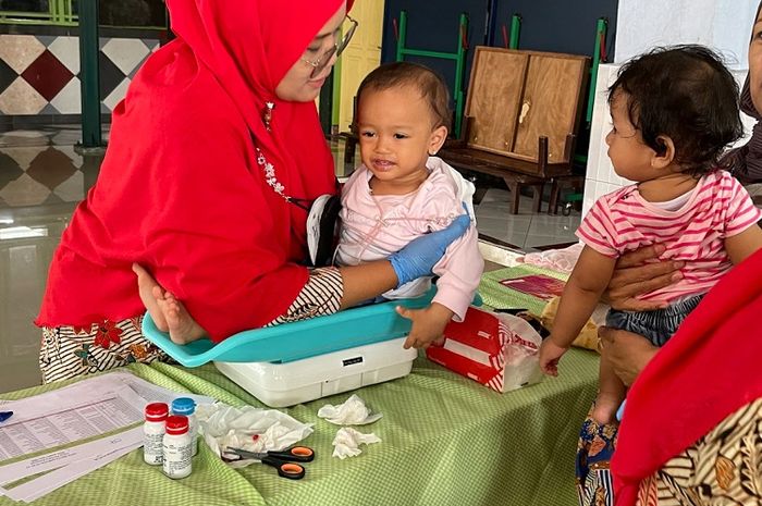 Penjelasan Lengkap Mengenai SKDN Posyandu, Para Ibu Harus Tahu - Semua ...