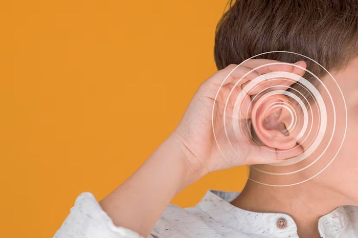 Fungsi Gendang Telinga serta Gangguan yang Memengaruhi Pendengaran - Kids