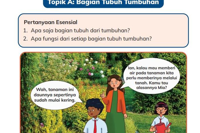 Mengenal 12 Bagian Dari Tumbuhan Dan Fungsinya Ipas Kelas 4 Sd