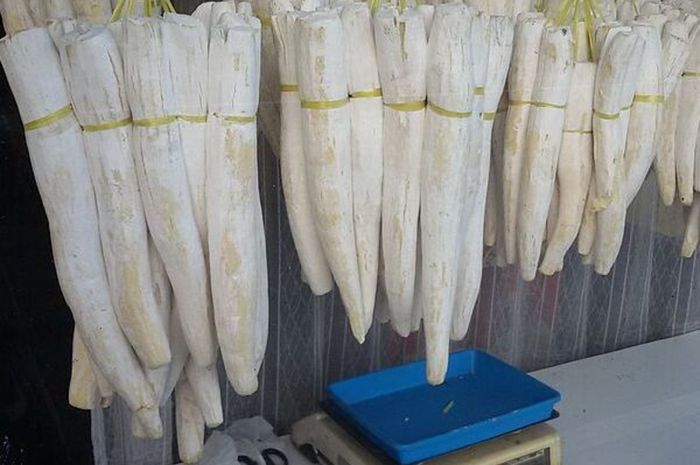 7 Rekomendasi Oleh-Oleh Makanan Khas Bandung yang Mudah Ditemukan - Bobo