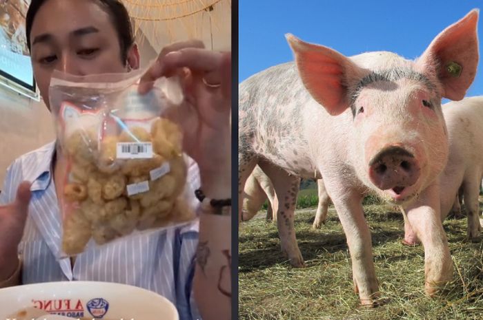 5 Arti Mimpi Makan Kerupuk Babi Bisa Jadi Pesan Penting tentang ... 5 Arti Mimpi Makan Kerupuk Babi Bisa Jadi Pesan Penting tentang ...
