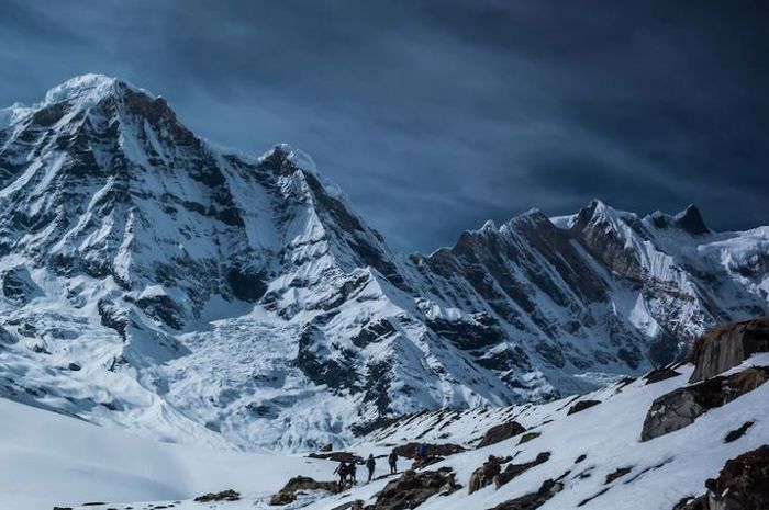 10 Fakta Menarik Babi, Hewan Ternak yang Dianggap Rakus dan Suka Tempat ...