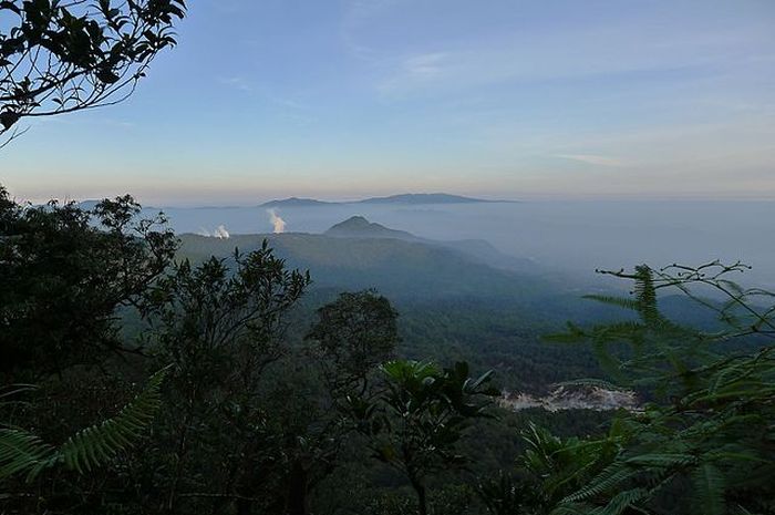 15 Fakta Menarik Taman Nasional Gunung Halimun Salak yang Memiliki ...