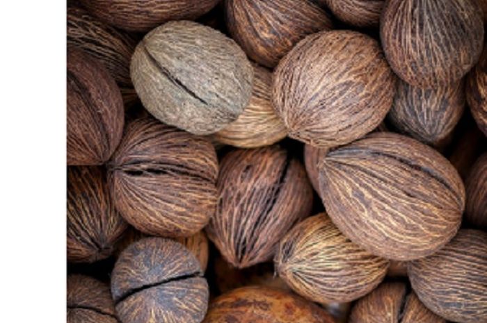 Bisa Buat Kegiatan Bercinta Semakin Mengasyikkan, Ini Resep Obat Kuat ...