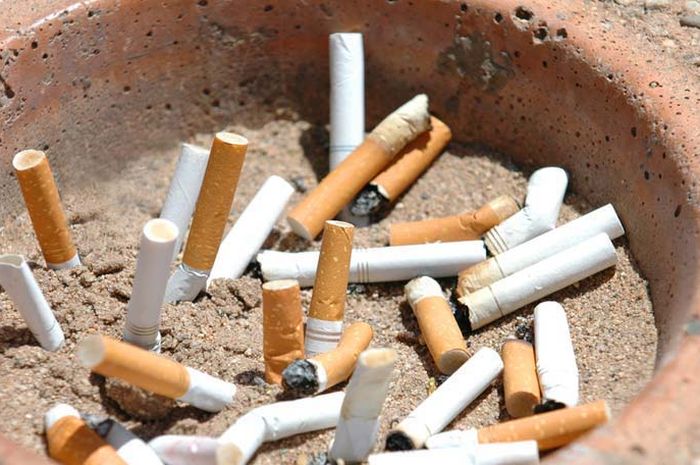 Ternyata Bukan ke Tong Sampah, Coba Buang Abu dan Puntung Rokok ke ...
