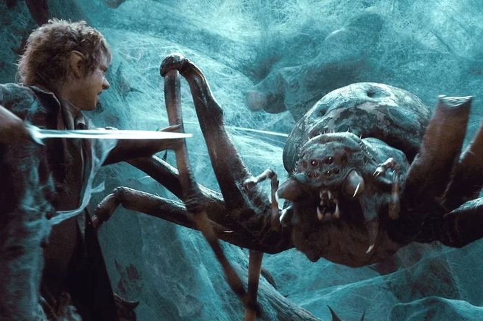 Dunia Hewan: Lebih Dekat dengan Kehidupan Laba-Laba Raksasa di Bumi ...