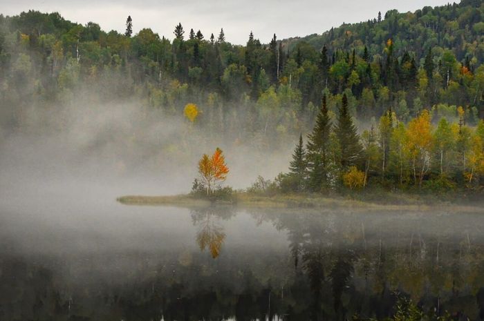 Sering Terjadi di Pantai Indonesia, Apa Itu Fenomena Alam Kabut Adveksi ...