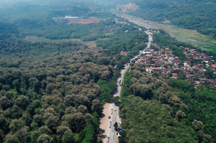 Alas Roban Jalur Mistis Di Kabupaten Batang Yang Sering Makan Korban ...