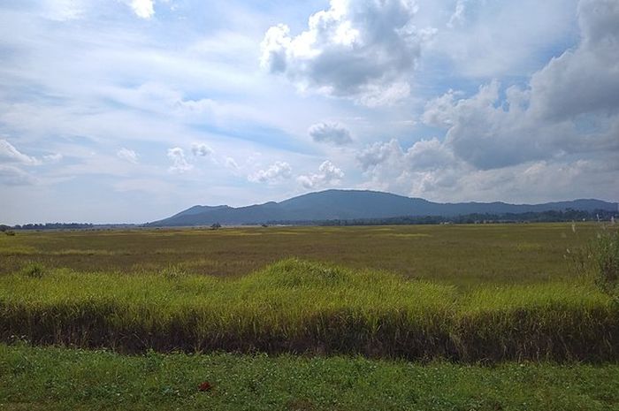 15 Fakta Menarik Taman Nasional Rawa Aopa Watumohai yang Memiliki Pulau ...