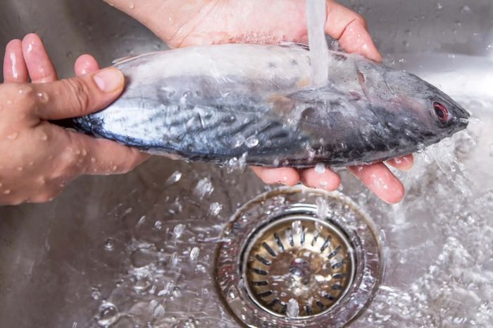 Bukan di Selokan, Coba Buang Air Bekas Cucian Ikan ke dalam Pot, Kurang ...