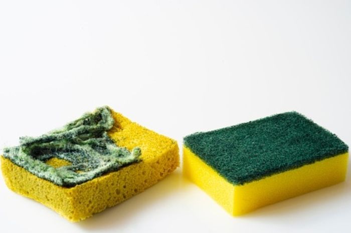 Jadi Tak Perlu Sering-sering Beli Baru, Begini Trik Menjaga Spons Cuci ...