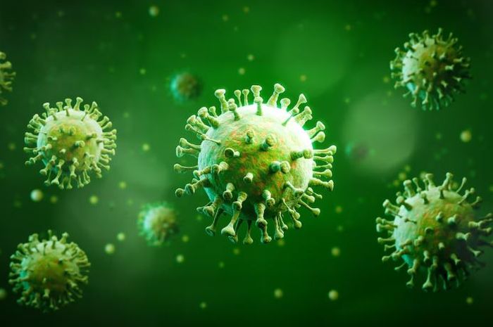 Proses Reproduksi Virus, Materi Bab 2 IPA Kelas X SMA Kurikulum Merdeka - Nakita