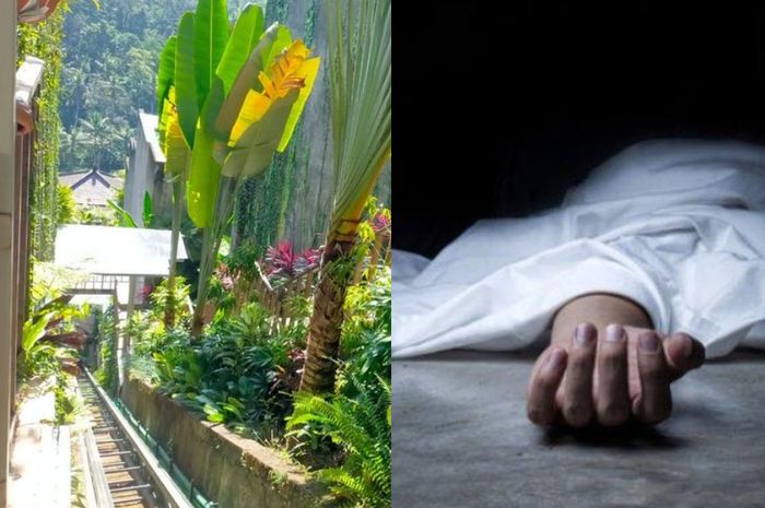 Terungkap Dugaan Penyebab Lift di Resor Bali Terjun Bebas hingga ...