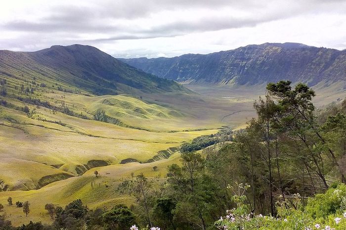 Fakta Menarik Bukit Teletubbies Bromo Dulunya Bernama Lembah Jemplang