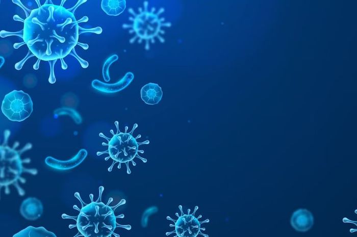 Seperti Apa Peranan Virus dalam Kehidupan? Materi IPA Kelas X SMA Kurikulum Merdeka - Semua ...