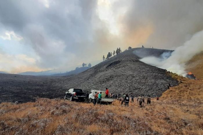 Akibat Kebakaran Gunung Bromo, Wisata dan Masyarakat Rugi Besar ...