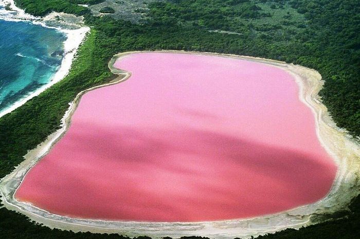 Punya Warna Merah Muda yang Memukau, Ini 5 Keunikan Fenomena Alam Danau ...