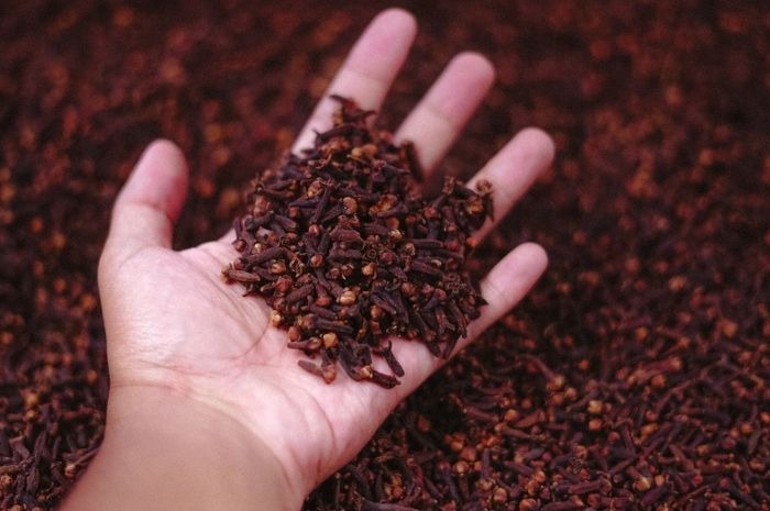 6 Manfaat Cengkeh untuk Kesehatan, Sebagai Obat Diare Hingga Diabetes ...