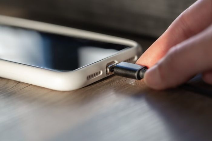 Waktu Terbaik untuk Gunakan Charger HP Supaya Baterai Awet Tahan Lama ...