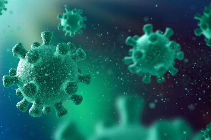 Cara Mencegah Penyebaran Virus, Materi Bab 2 IPA Kelas X SMA Kurikulum Merdeka - Nakita