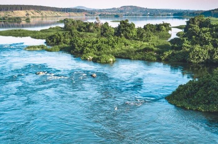 Jadi Danau Air Tawar Terbesar, Kenapa Fenomena Alam Danau Victoria Disebut Berbahaya? - Bobo