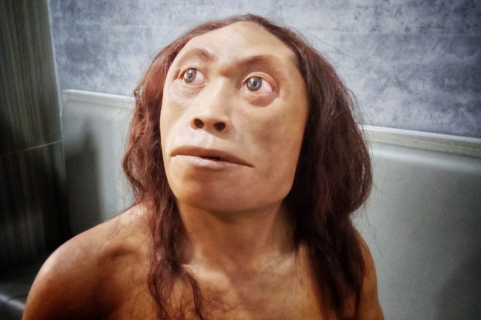 Mata Rantai Evolusi Homo floresiensis, Spesies Manusia yang Menyusut ...