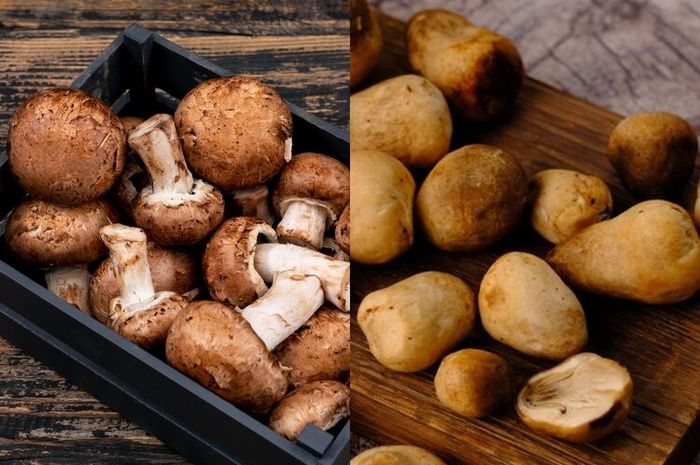 Jutaan Orang Banyak yang Keliru, Ini Bedanya Jamur Merang dan Jamur ...