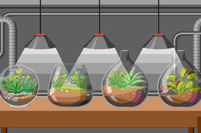Mengenal Urutan Takson Tumbuhan dan Manfaatnya, Materi Biologi - Bobo