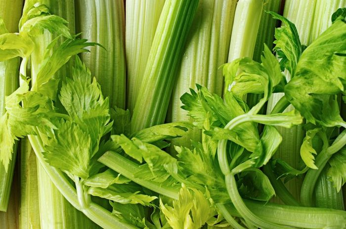 Sekilas Terlihat Mirip, Ketahui 4 Perbedaan Seledri dan Daun Ketumbar ... Sekilas Terlihat Mirip, Ketahui 4 Perbedaan Seledri dan Daun Ketumbar ...