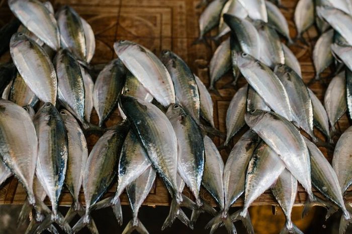 Tips Memilih Ikan Kembung Segar, Jika Ditekan Bagian Dagingnya, Akan ...