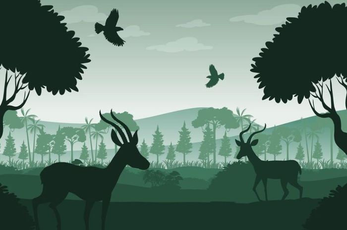 8 Wilayah Persebaran Fauna di Dunia, Neotropis hingga Antarktika - Kids